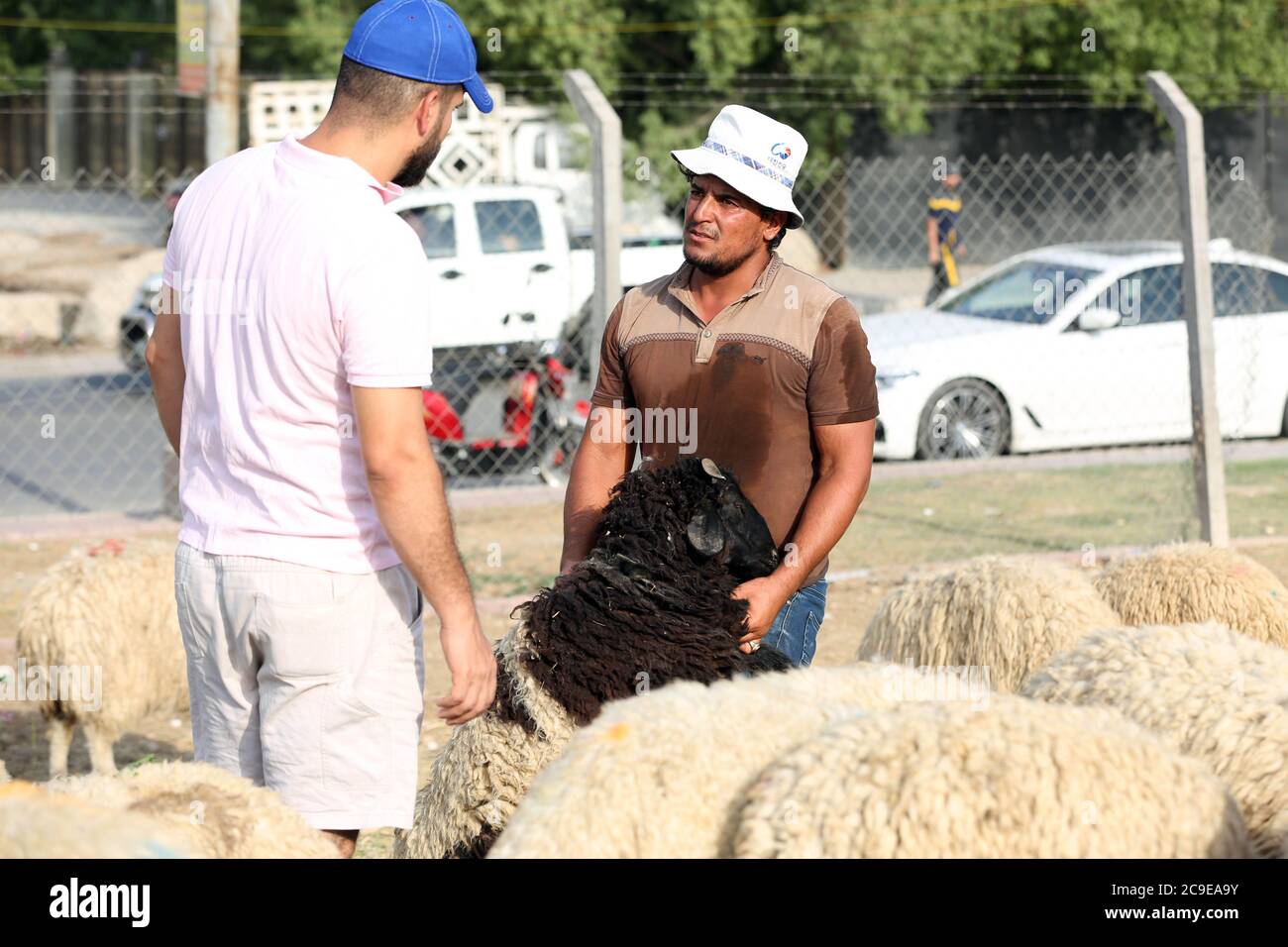 Baghdad, Iraq. 30th July, 2020. A man buys sheep before Eid al-Adha ...