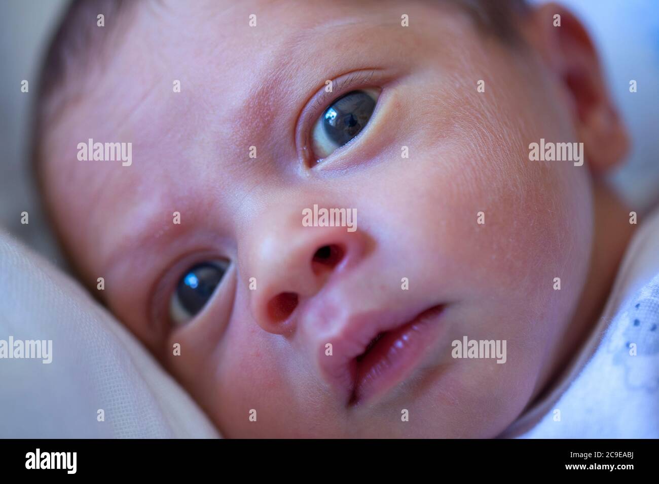 Baby Boy With Brown Eyes And Brown Hair