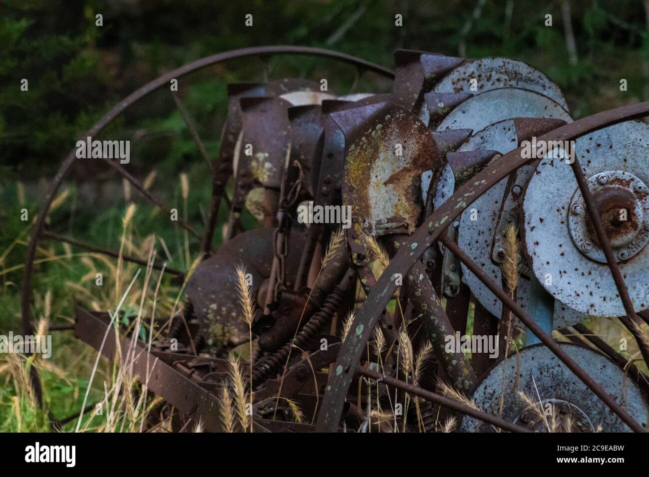 old abandoned Antique rusted farm equipment left in a field covered in ...