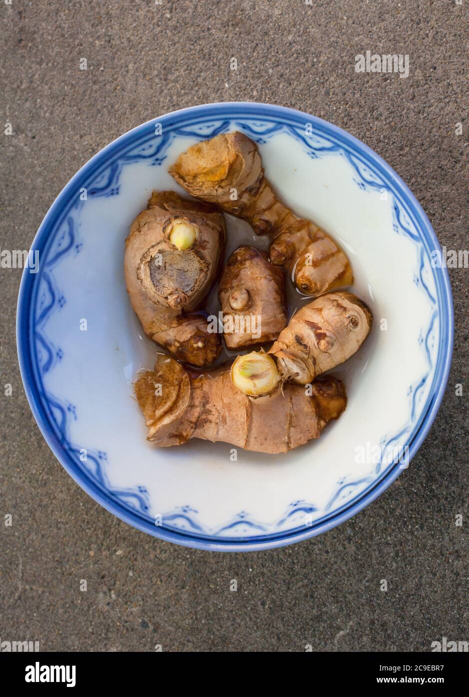 Root ginger sprouts hi-res stock photography and images - Alamy