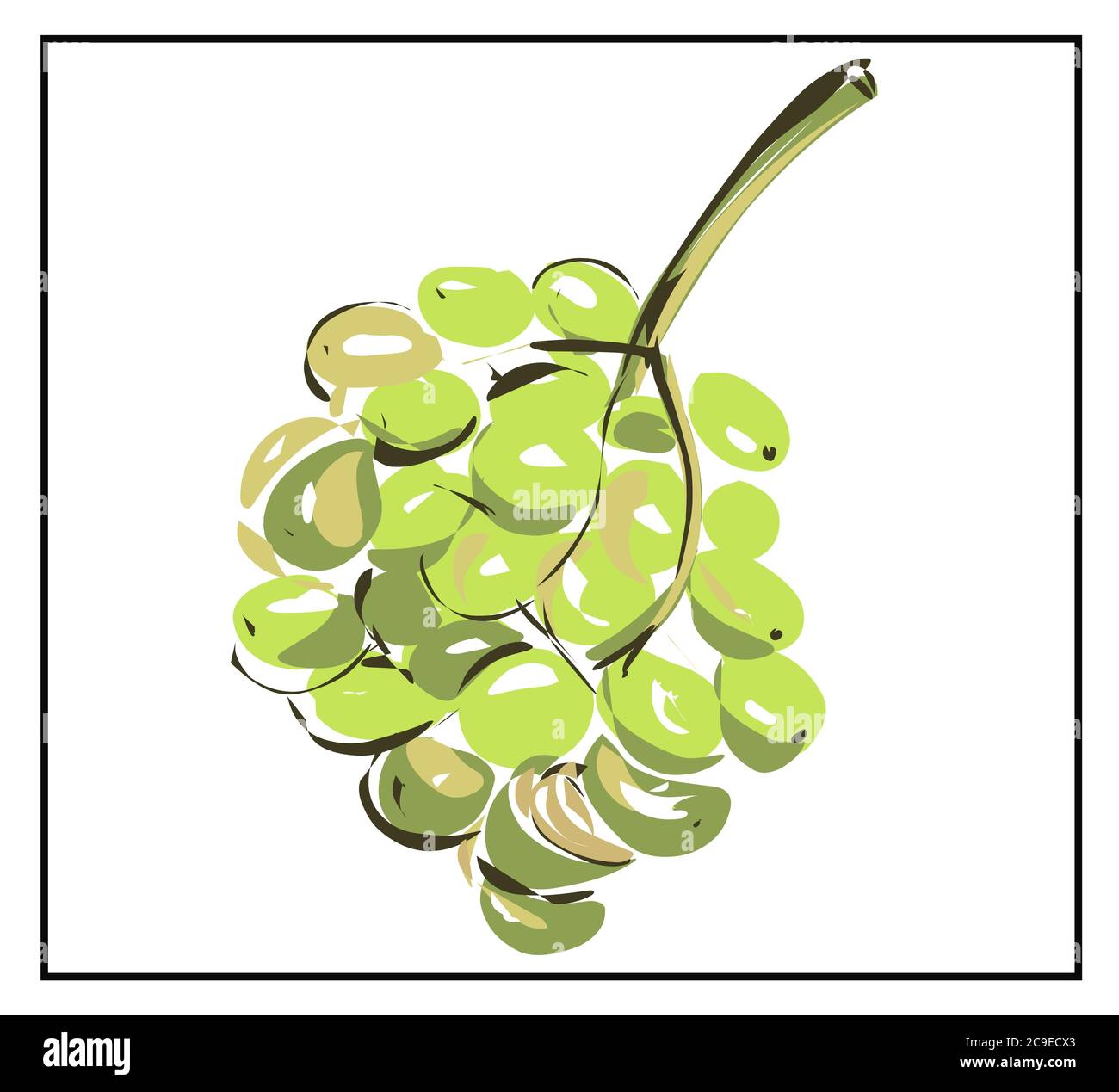 Grapes A bunch of grapes isolated on a white background Stock Vector ...