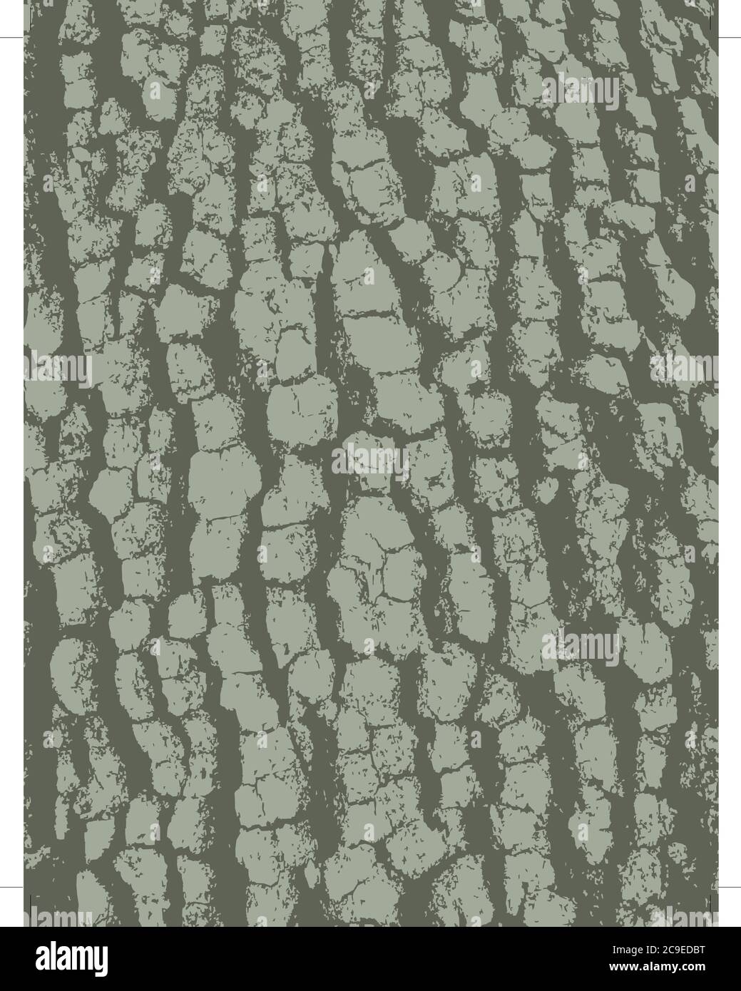 Seamless tree bark wood texture Stock Vector Images - Alamy