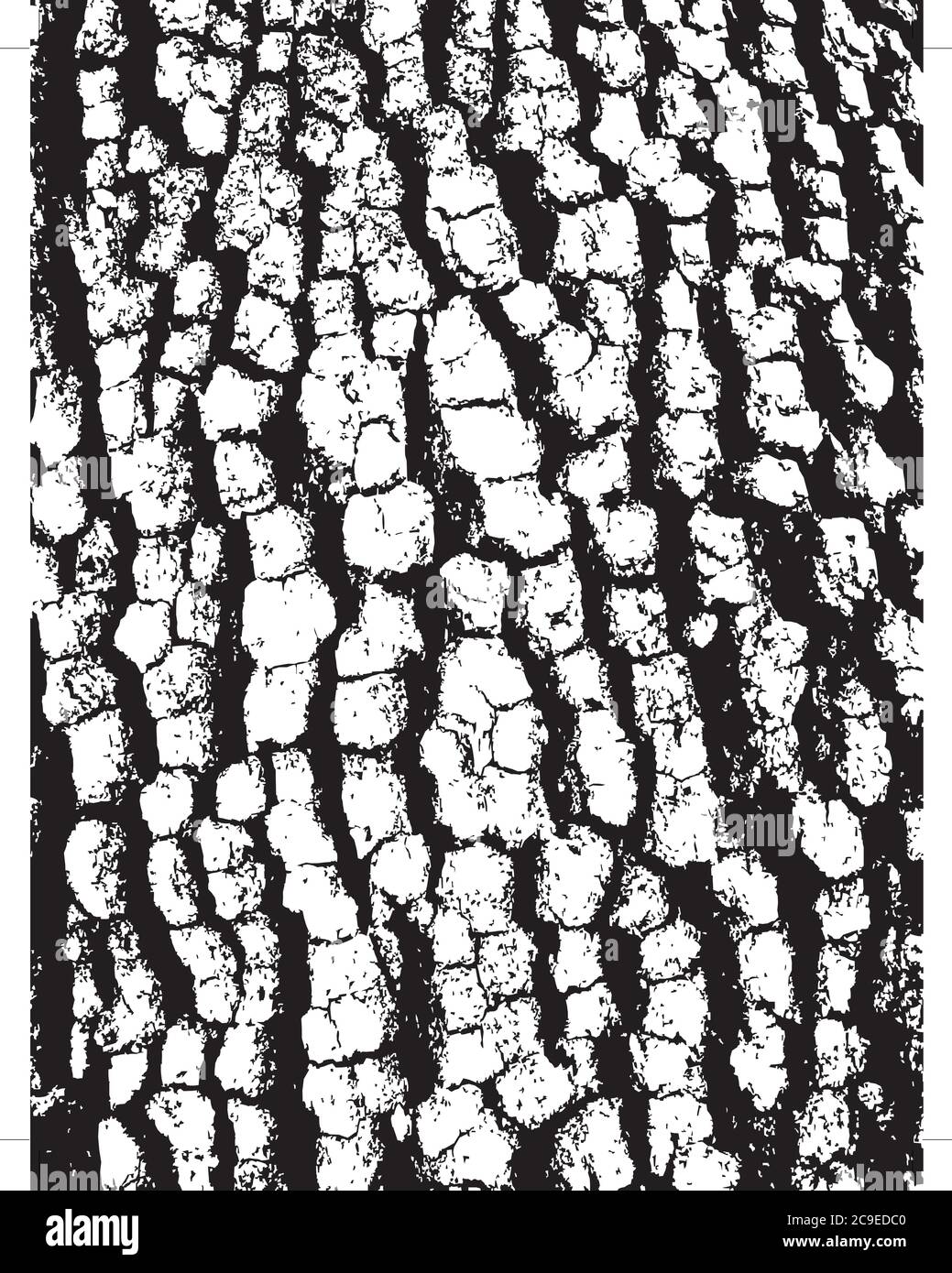 Texture seamless bark wood Stock Vector Images - Alamy