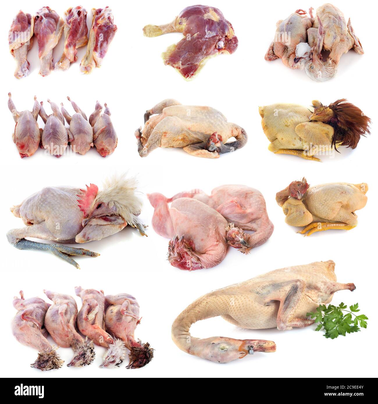 poultry meat in front of white background Stock Photo - Alamy