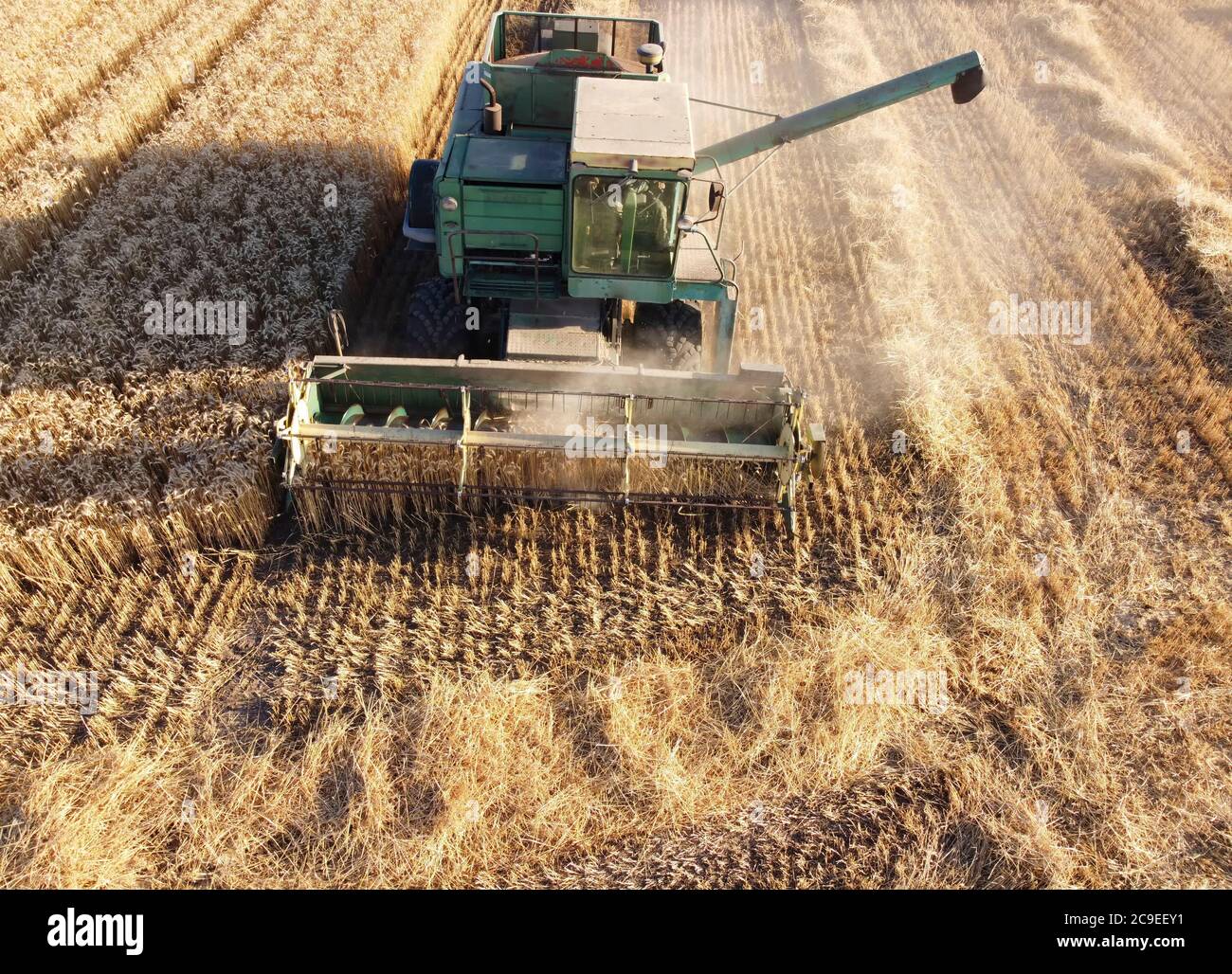 Combine harvester gathers grain hi-res stock photography and images - Alamy