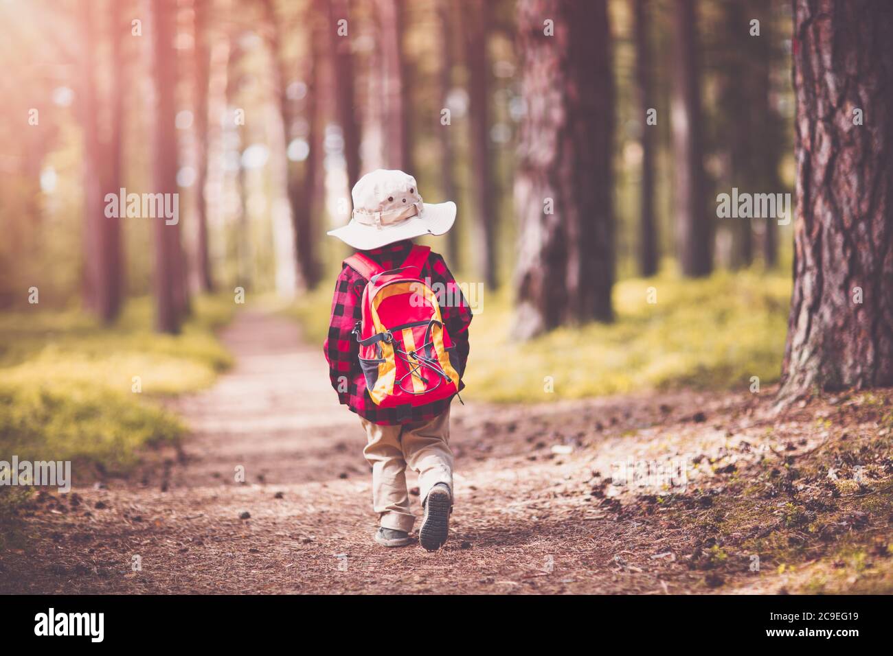 boy going camping with backpack in nature Stock Photo - Alamy