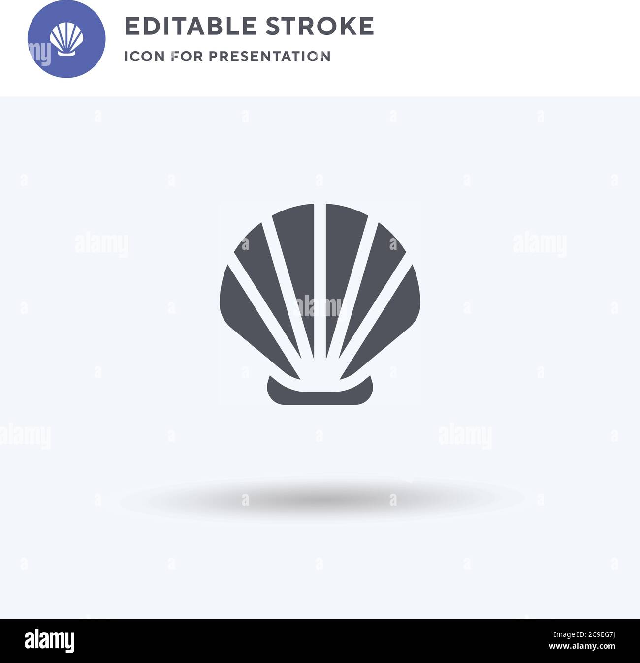 Scallop shell presentation Stock Vector Images - Alamy