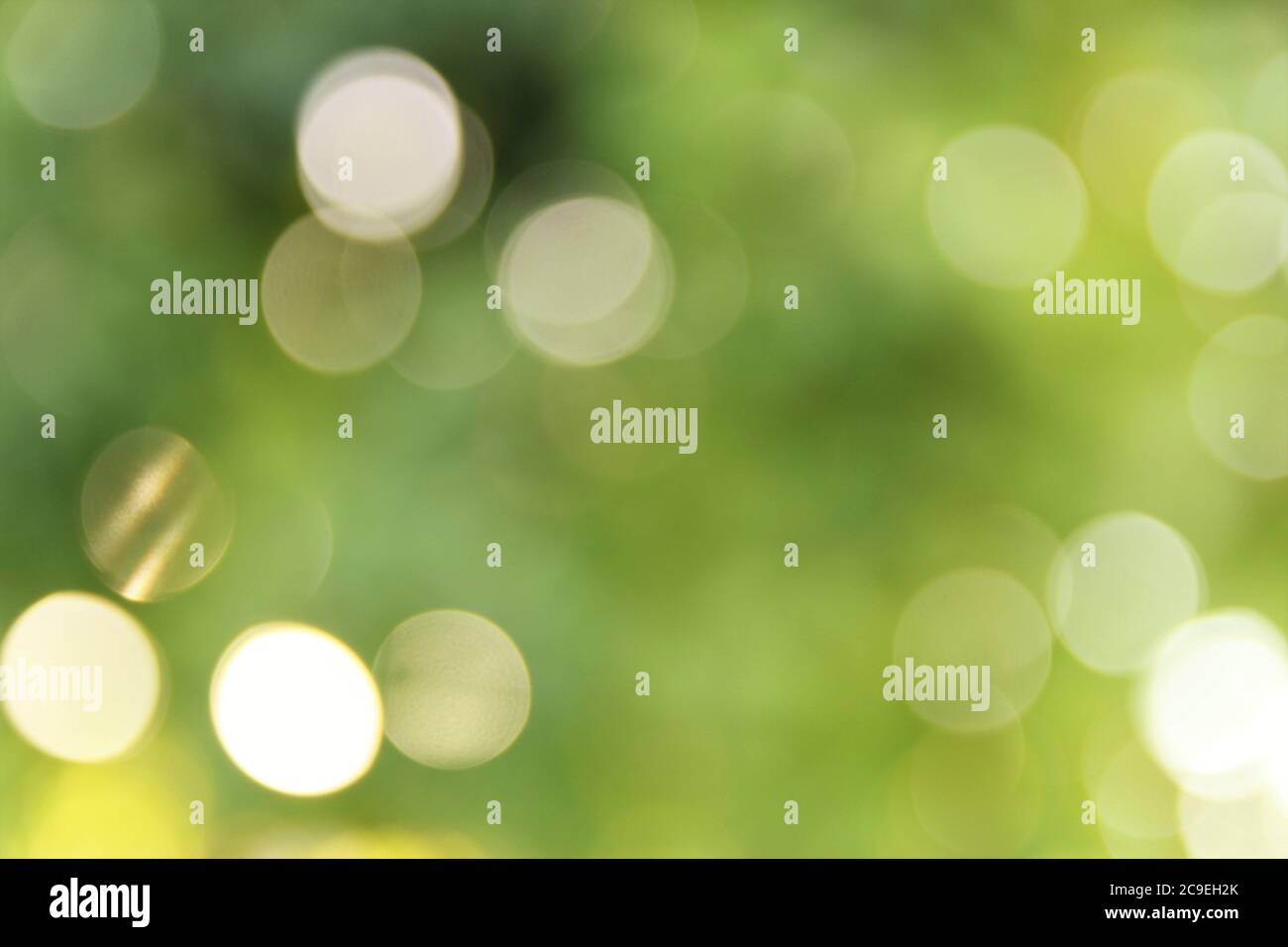 Sunlight effect hi-res stock photography and images - Alamy