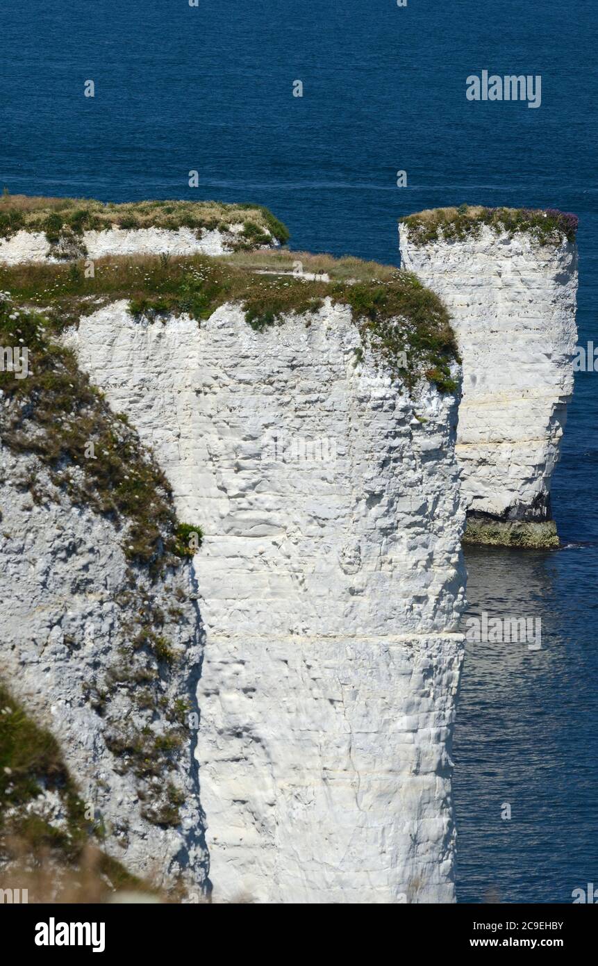 Chalk cliffs and stack at Handfast Point, Dorset Jurassic coast. UK ...