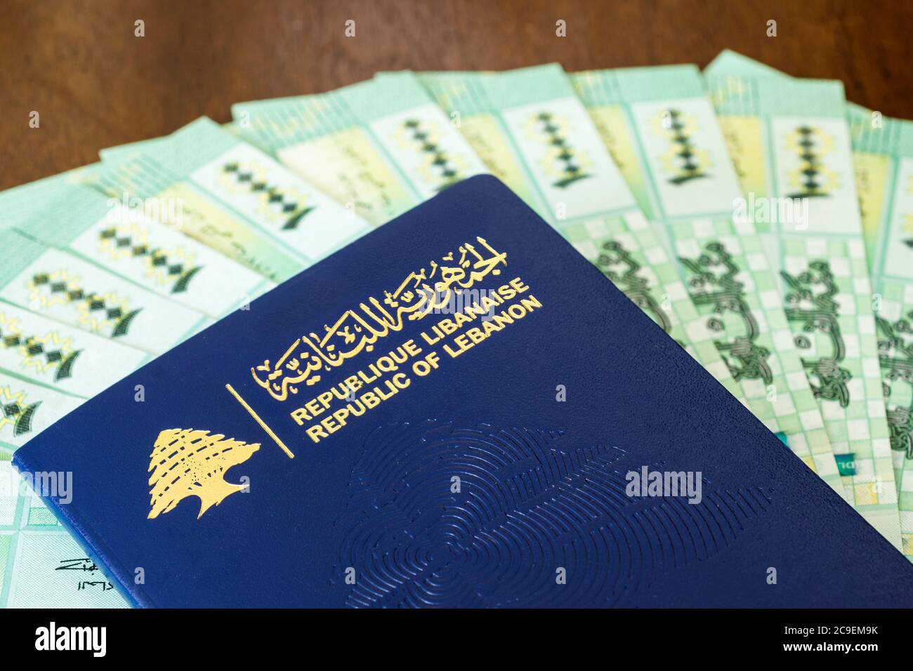 Lebanese Passport Picture Size at Michael Mahoney blog