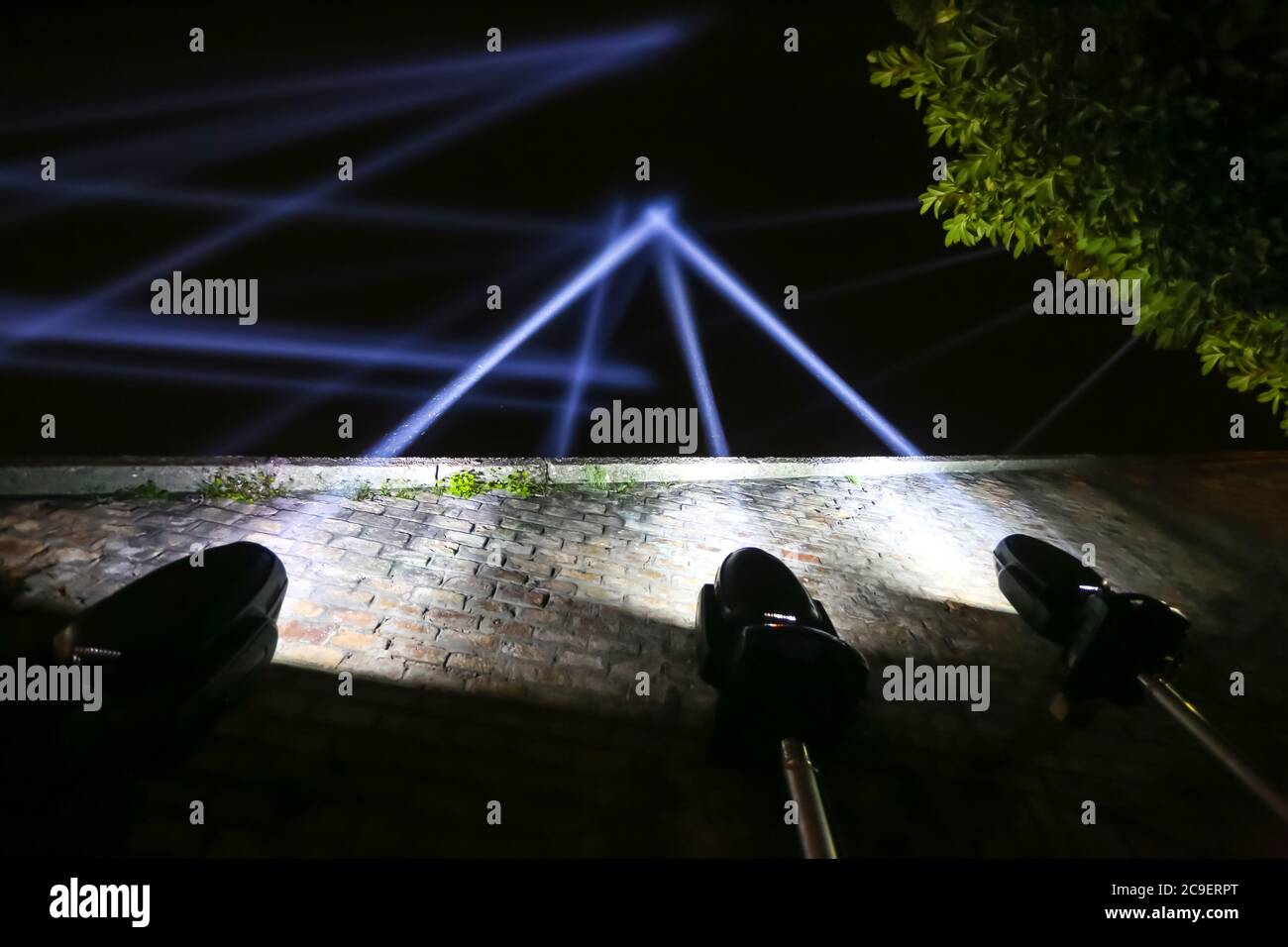 Light projection tree hi-res stock photography and images - Alamy