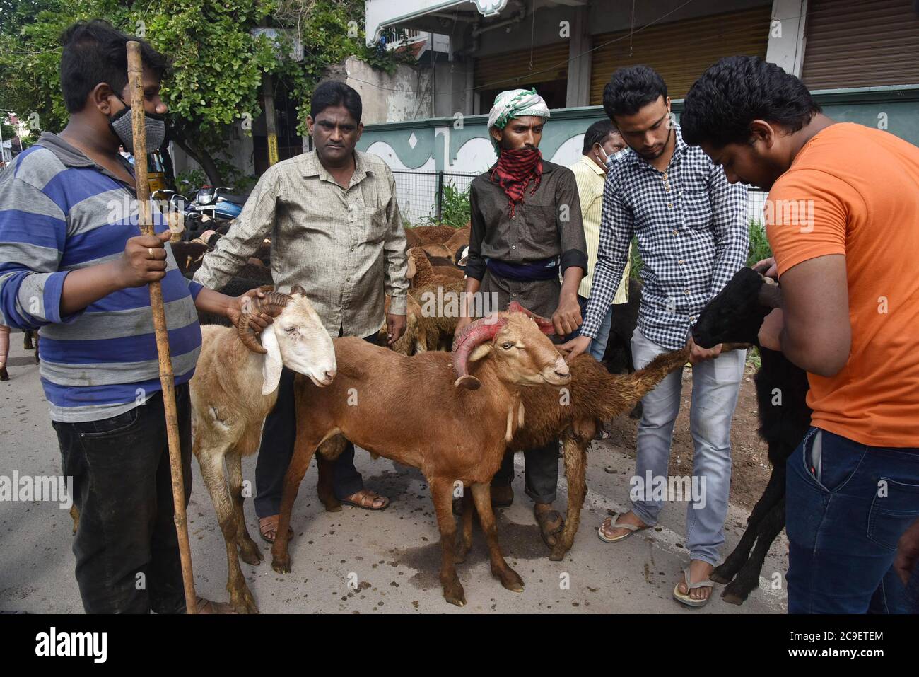 Patna, India. 30th July, 2020. Goat sellers wait with their livestocks ...
