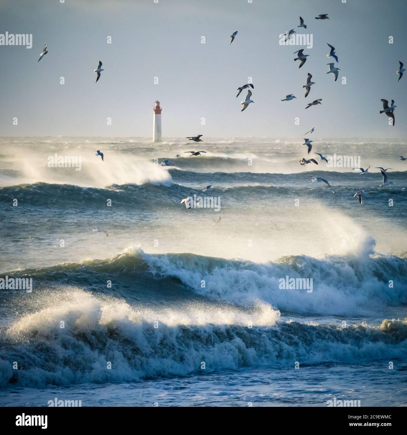 lighthouse in the sea during windstorm with seagulls. blue sky and ...