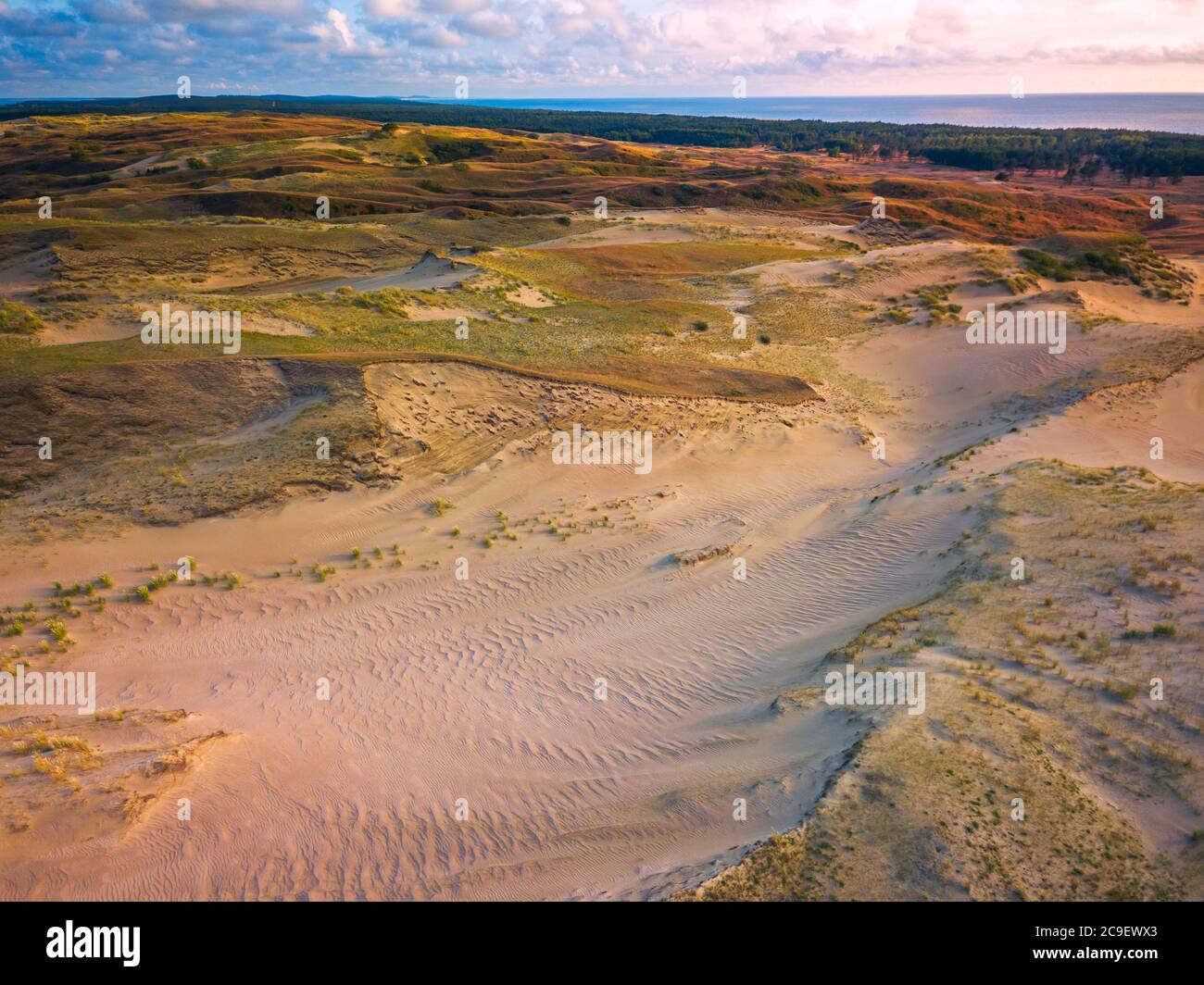 Beautiful Grey Dunes, Dead Dunes at the Curonian Spit in Nida, Neringa ...