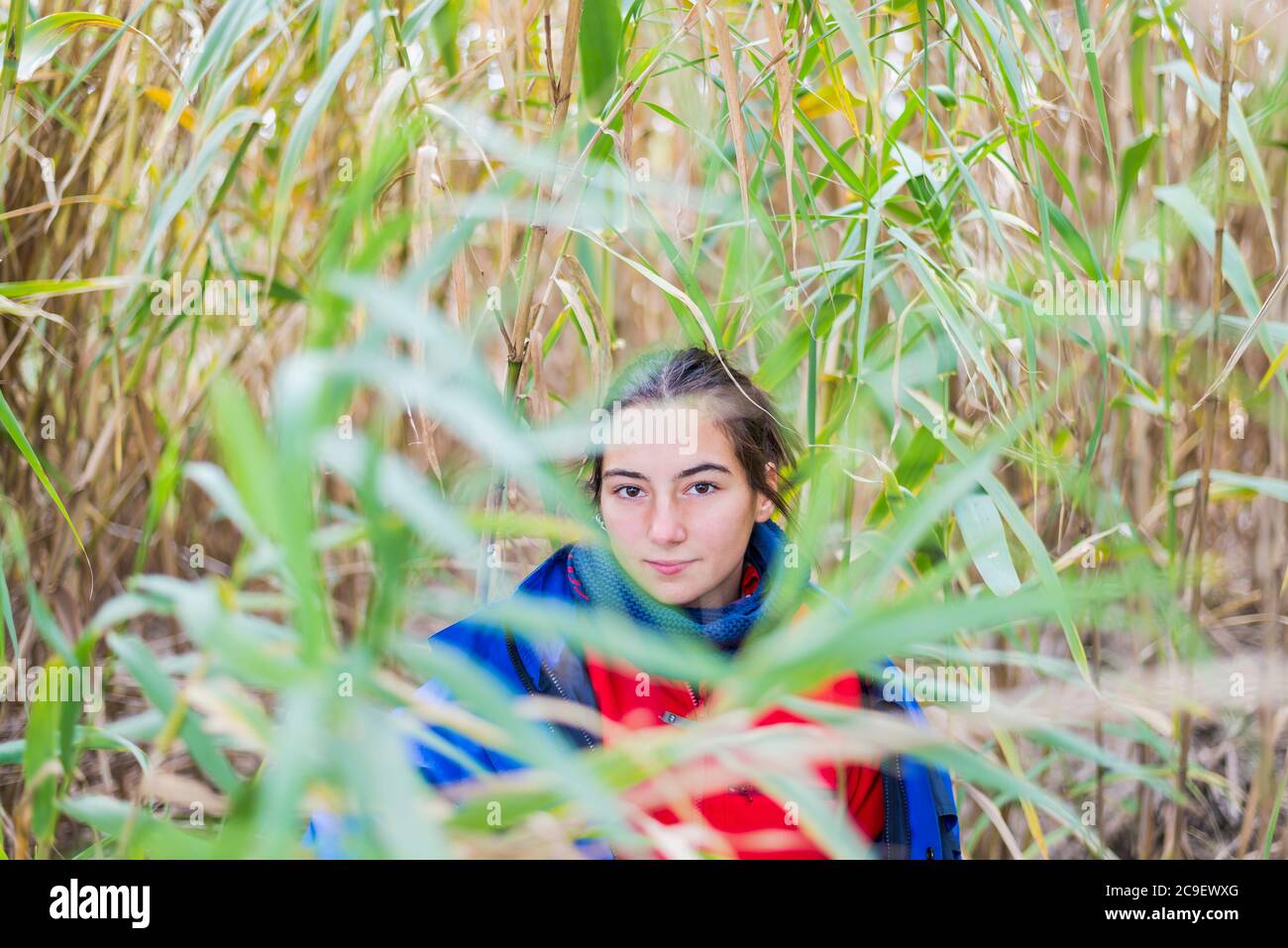 Woman behind bush hi-res stock photography and images - Alamy
