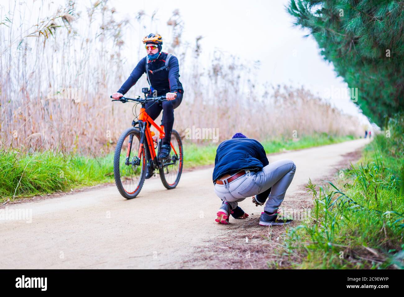 Woman crouching on a road collecting leaves as a cyclist passes Stock ...
