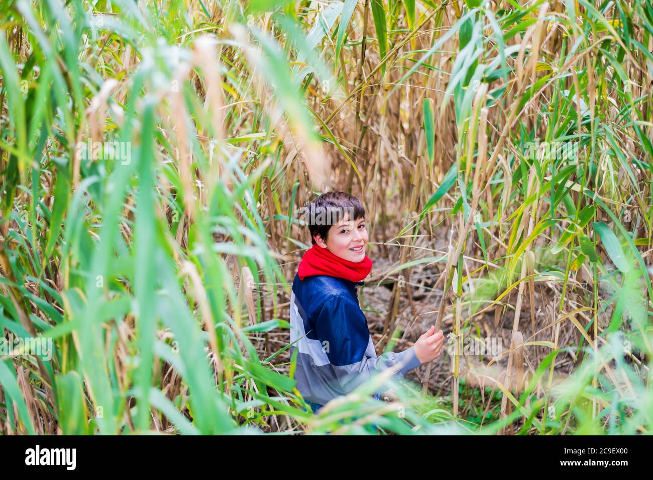 Boy behind bush hi-res stock photography and images - Alamy