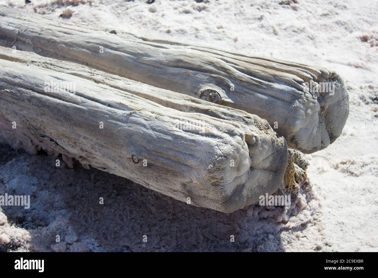 Beautiful wooden logs covered with salt at a mining plant - background ...