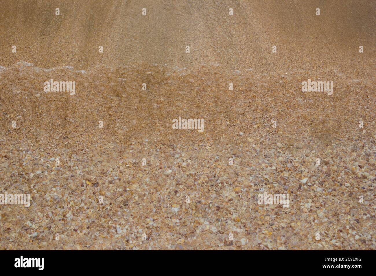 Shore beach water sea wave sand shells, vacation background texture ...
