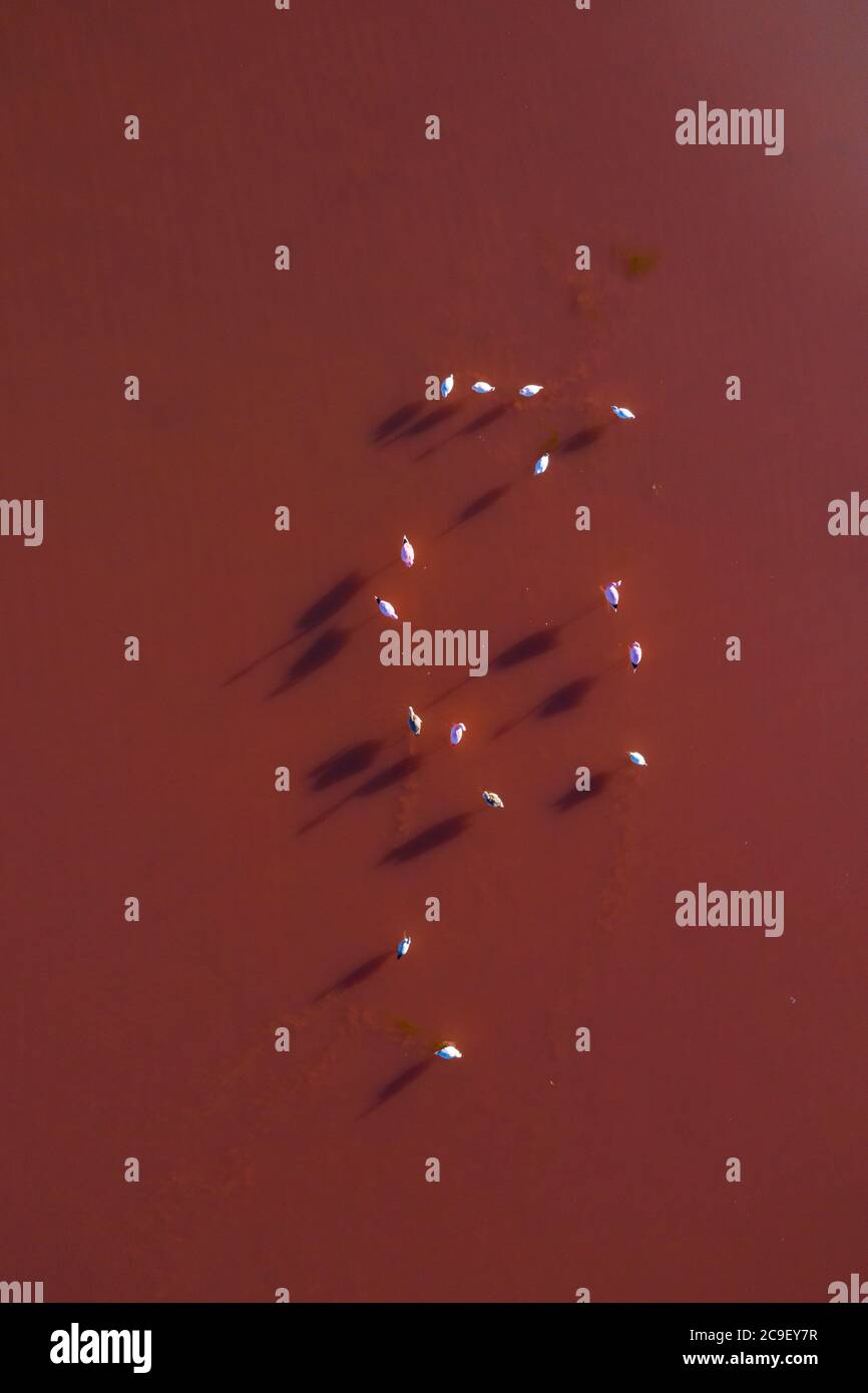 Laguna varios hi-res stock photography and images - Alamy