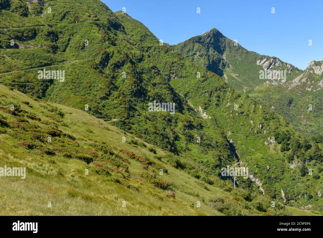 Mount Tamaro High Resolution Stock Photography and Images - Alamy