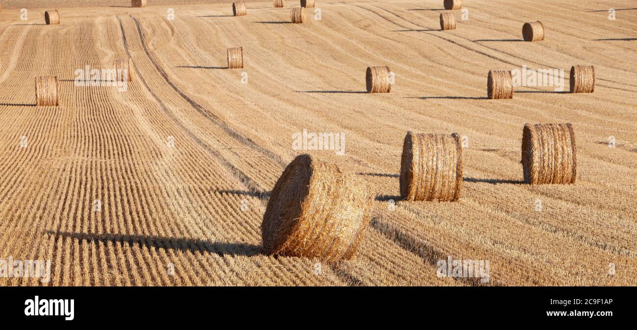 straw bales in rolling hills of northern france under blue sky Stock ...