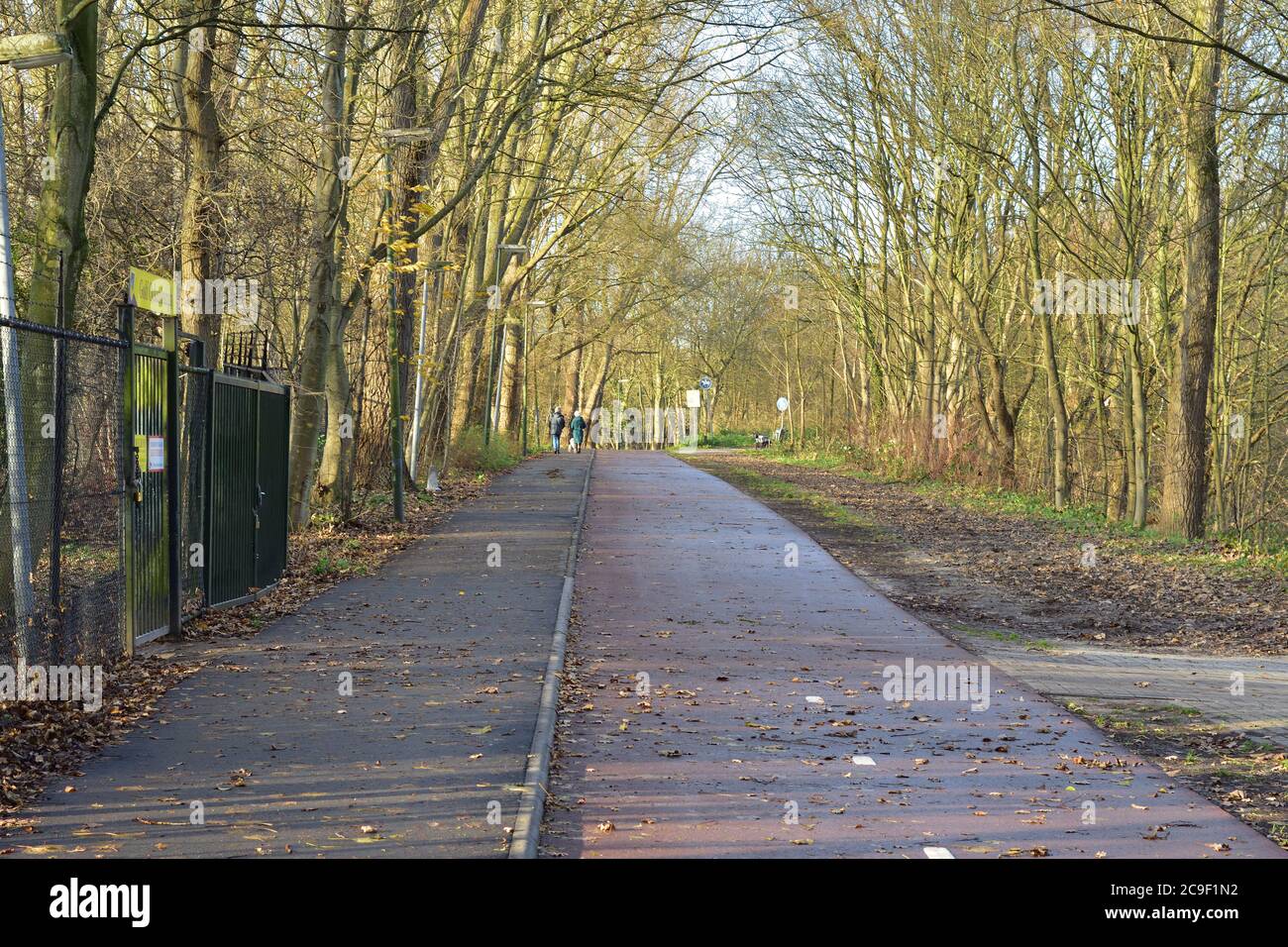 Bicycle path and pedestrian walkway next to the fence on an autumn ...
