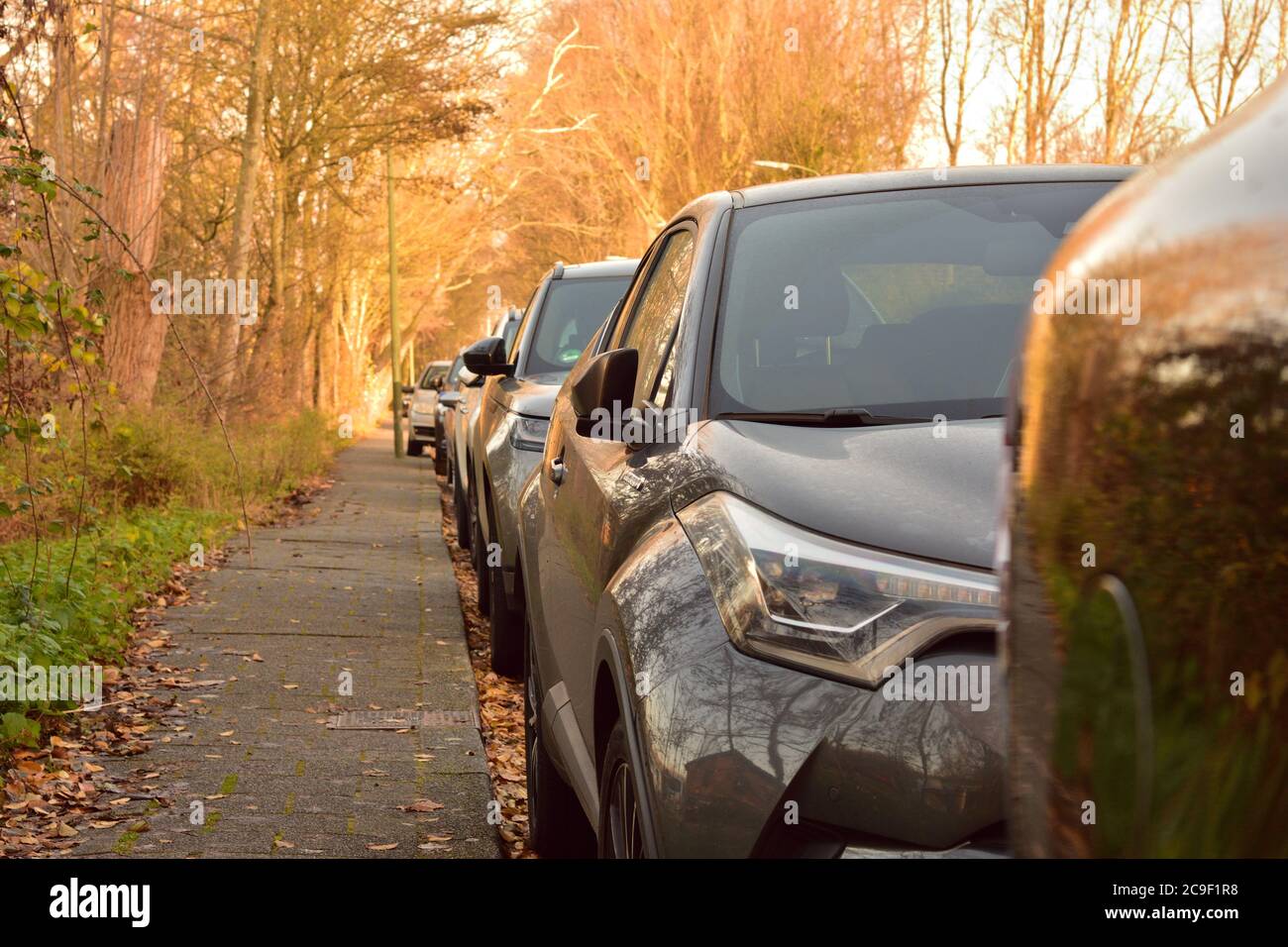 Cars parked in one line along the footpath on an autumn morning. Autumn ...