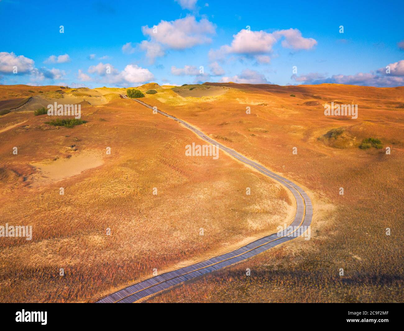 Beautiful Grey Dunes landscape with path, Dead Dunes at the Curonian ...