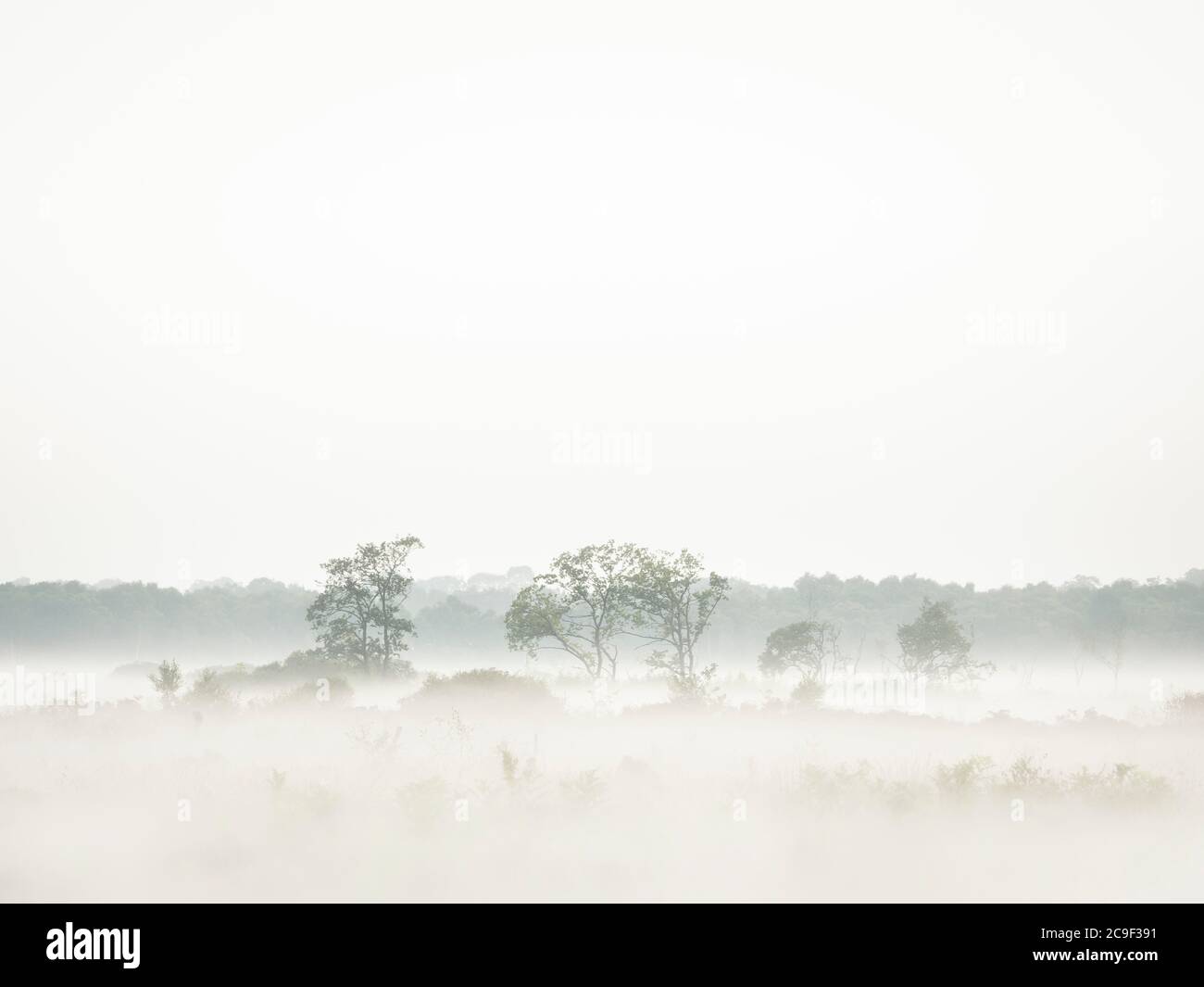 Roydon common norfolk hi-res stock photography and images - Alamy