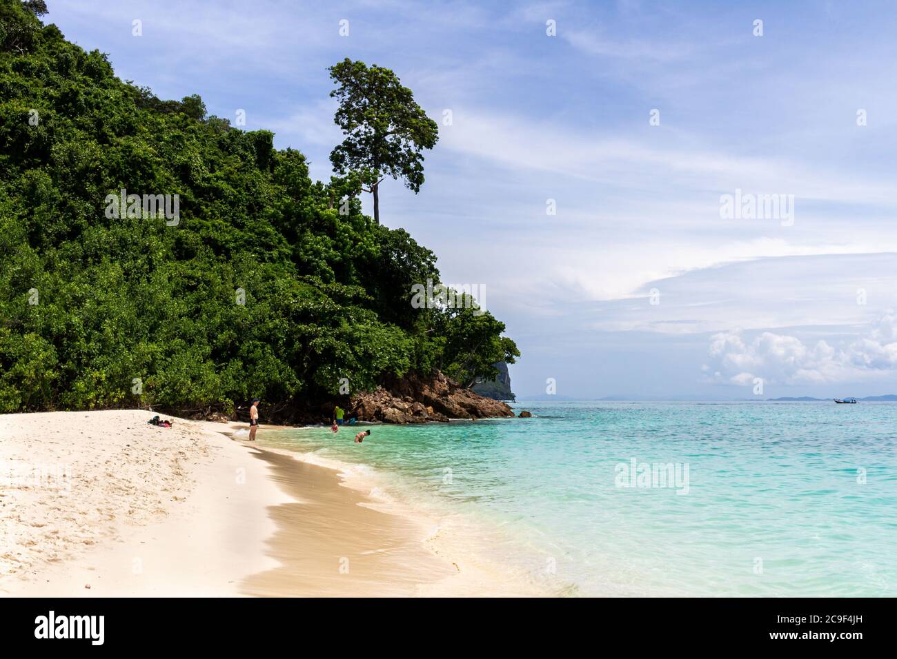 Island bamboo hi-res stock photography and images - Alamy