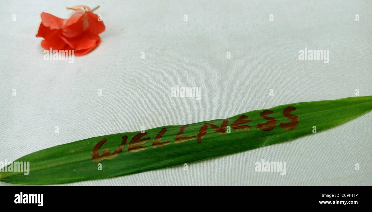 Wellness word presented on green leaf with colorful flowers on white ...