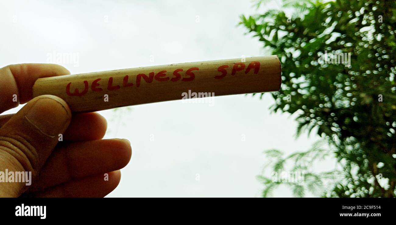Wellness spa word presented on bamboo stick with colorful flowers on ...