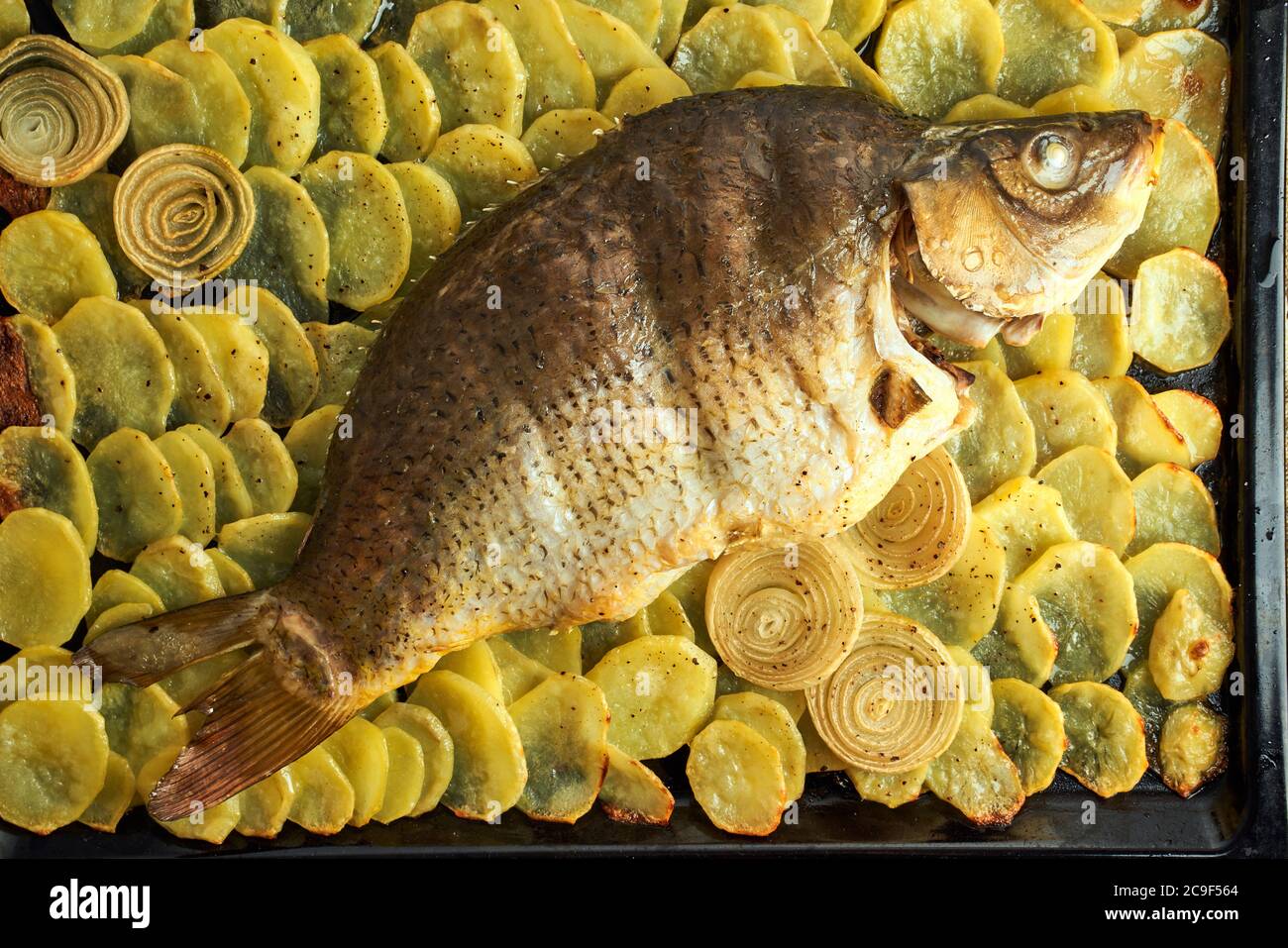 Baked carp, whole fish from the oven with sliced potatoes on a large ...