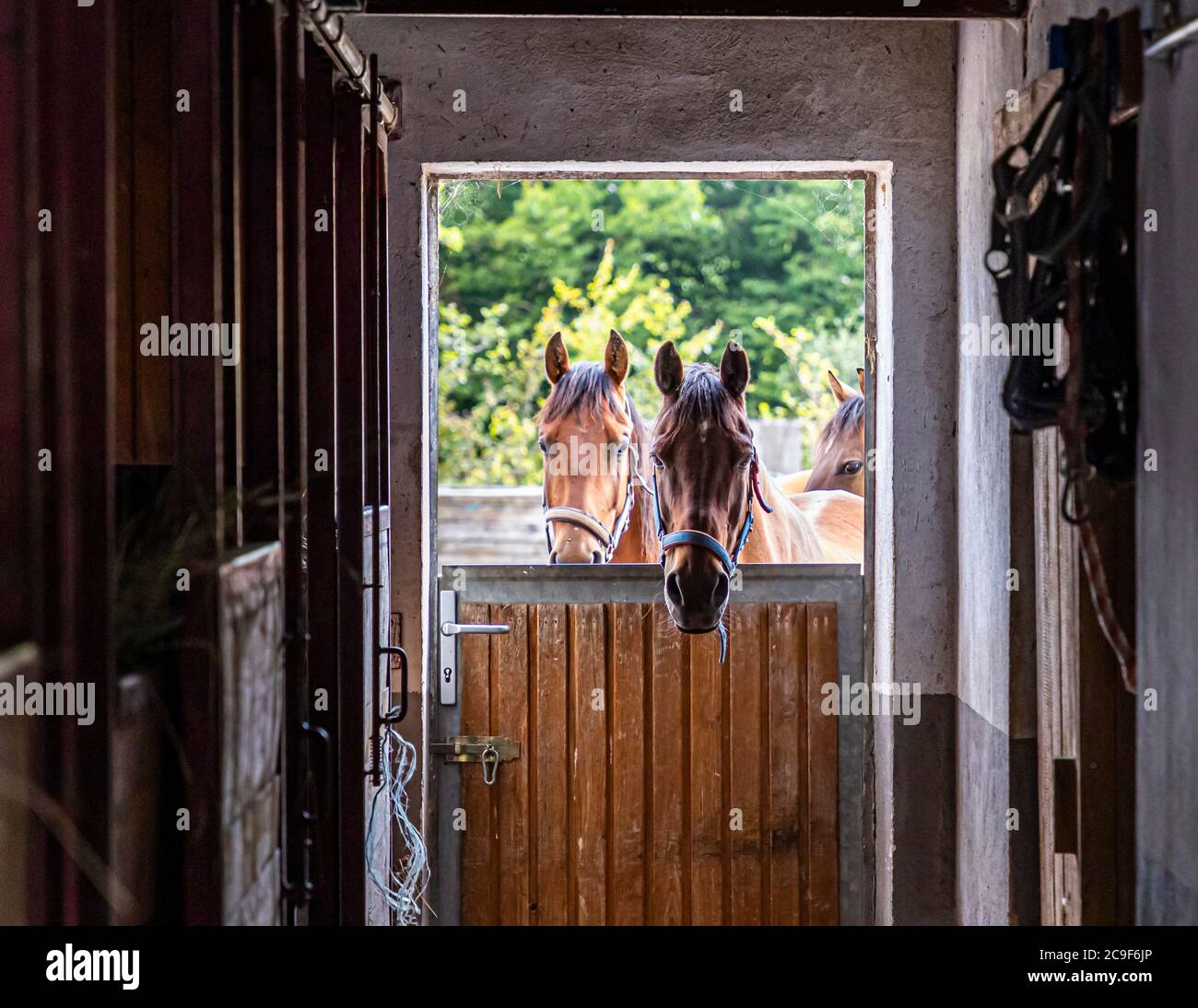 Hollerhoefe in Kemnath-Waldeck, Germany Stock Photo - Alamy