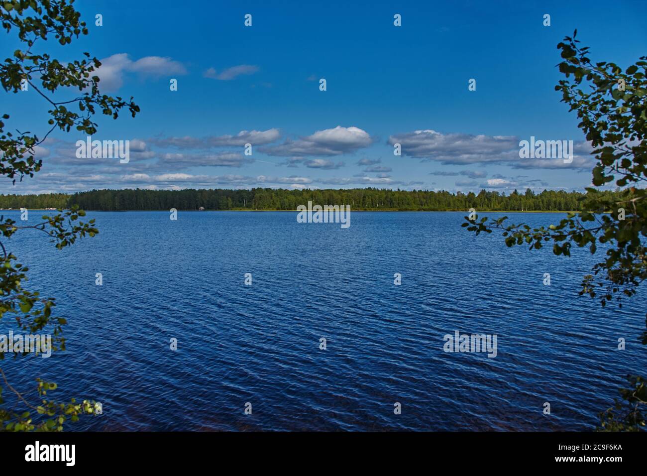 Bank with trees opposite hi-res stock photography and images - Alamy