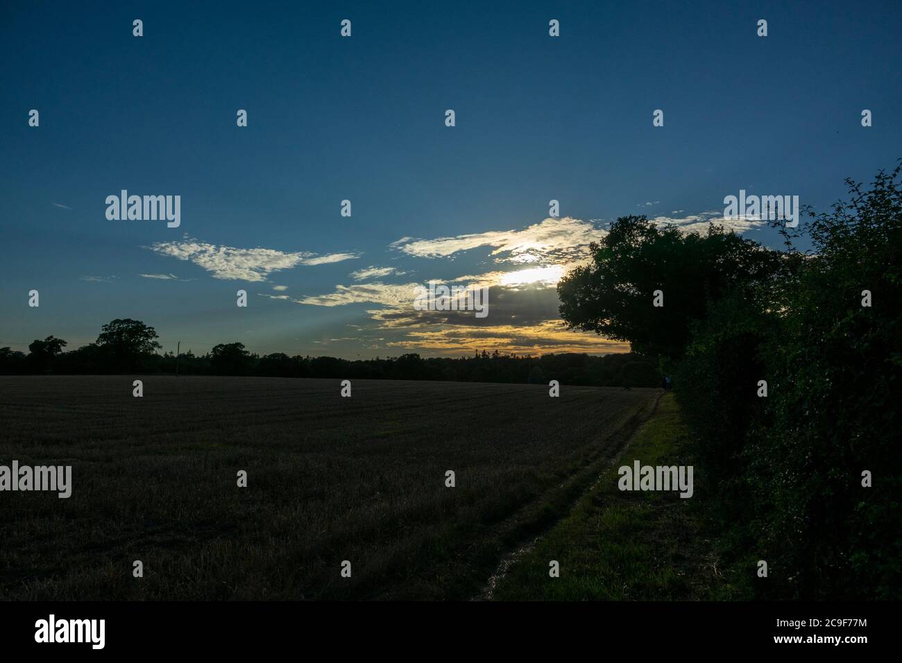 Norfolk field at dusk Stock Photo - Alamy