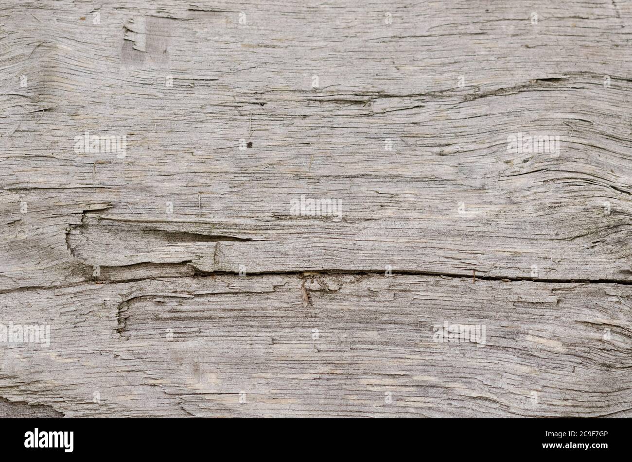 Wooden pattern and structure or surface of tree trunk Stock Photo - Alamy