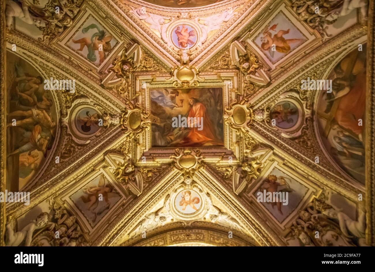 The Vatican Museums are an immense collection of artifacts, frescoes ...