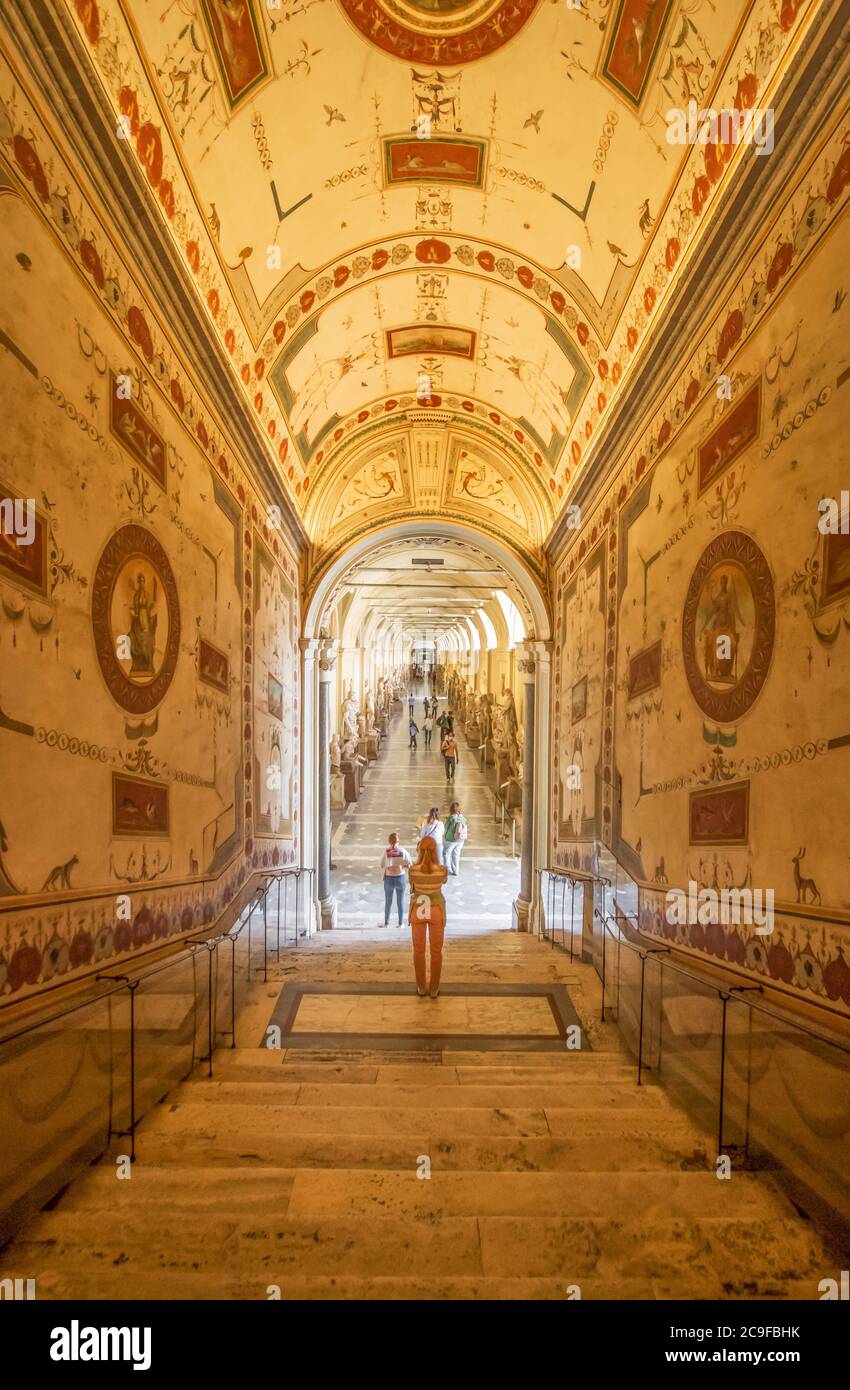 The Vatican Museums are an immense collection of artifacts, frescoes ...
