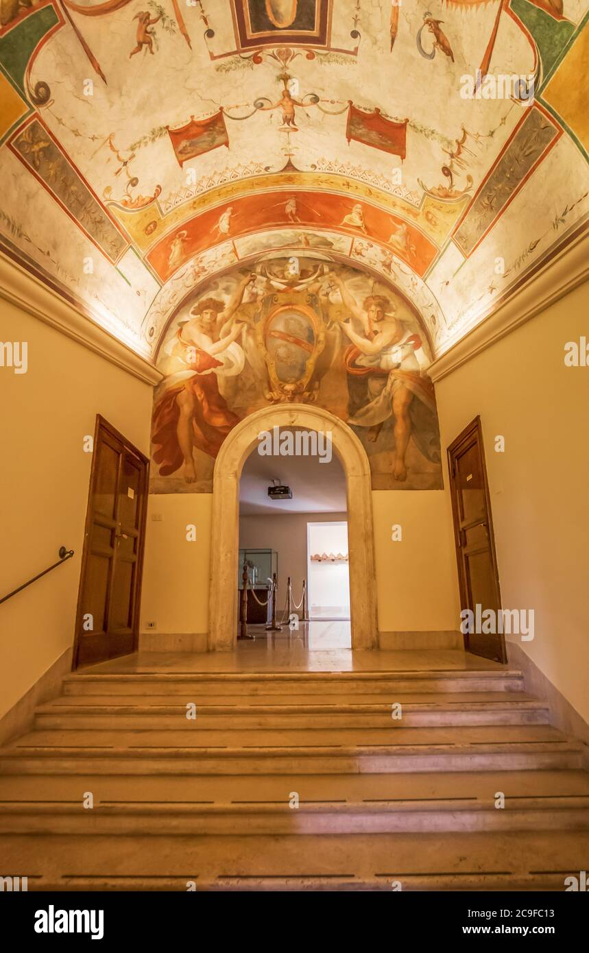 The Vatican Museums are an immense collection of artifacts, frescoes ...