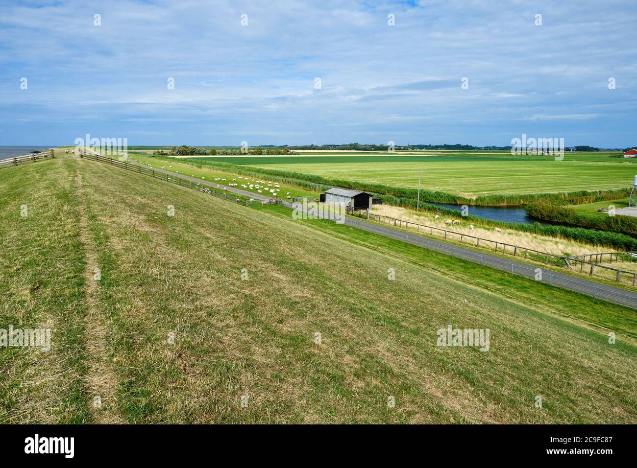 Typical dutch view of a dike with sheeps overlooking the polder with ...