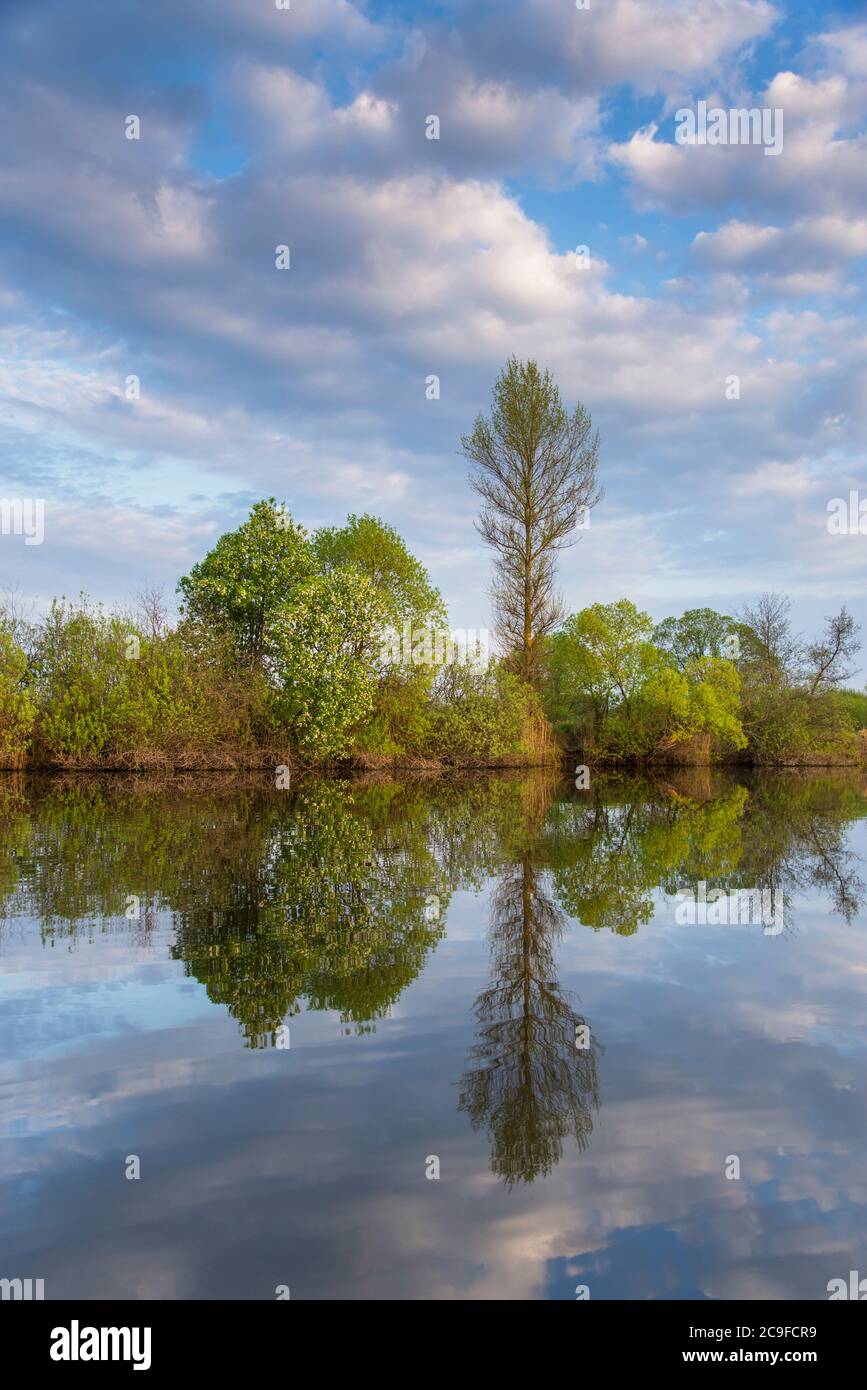 Spring landscape reflected in water. Vertical composition Stock Photo ...
