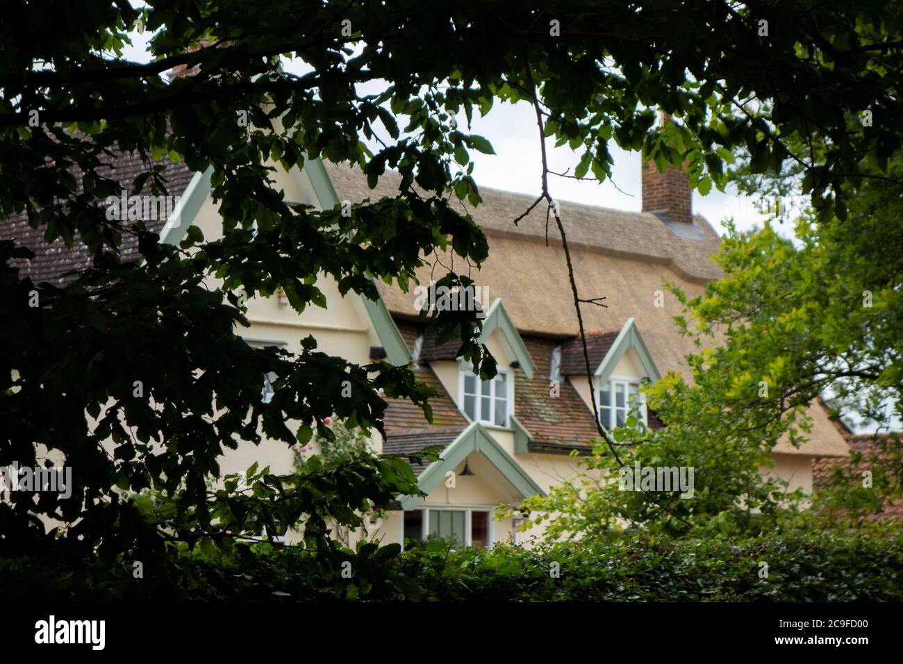 large thatched farm house Norfolk Stock Photo - Alamy