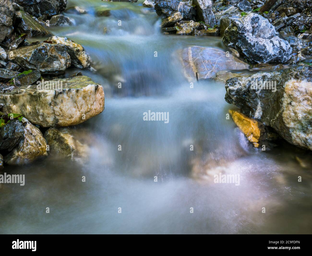 Water stream flowing between rocks into the forest. Water spring in ...