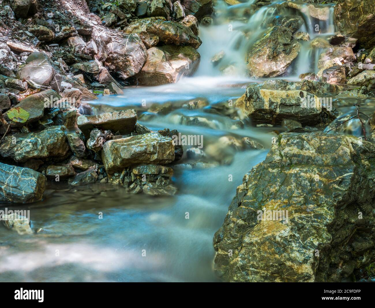 Water stream flowing between rocks into the forest. Water spring in ...