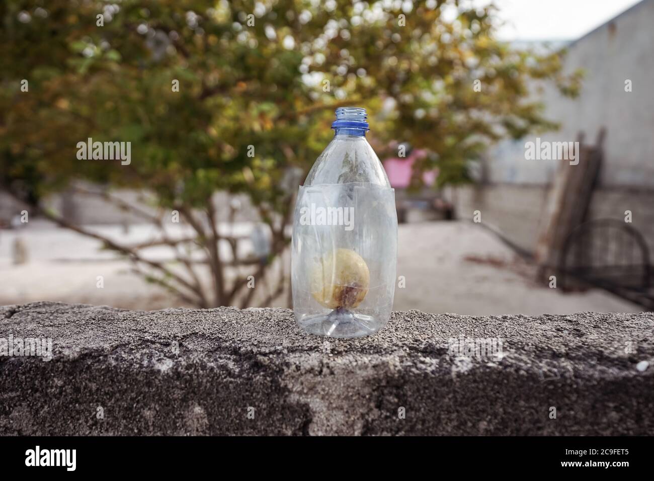 Birds Inside Of Plastic