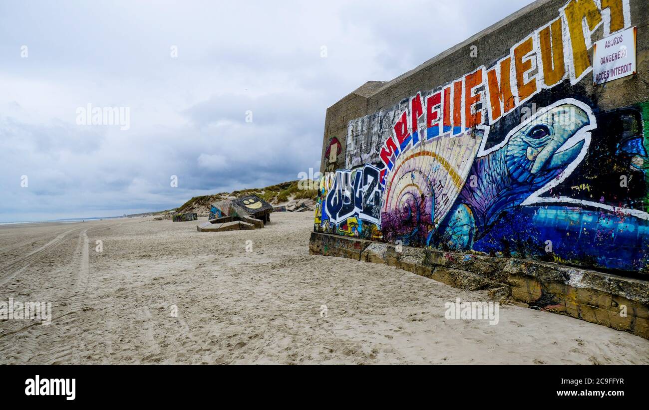 Ecological wallpainting on a WWII German bunker, Berck, Pas-de-Calais ...
