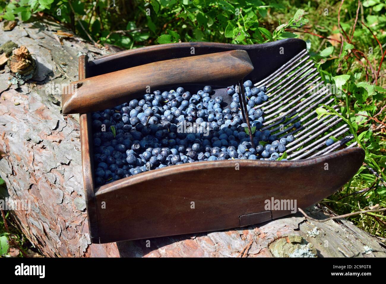 Fruits picking machine hi-res stock photography and images - Alamy