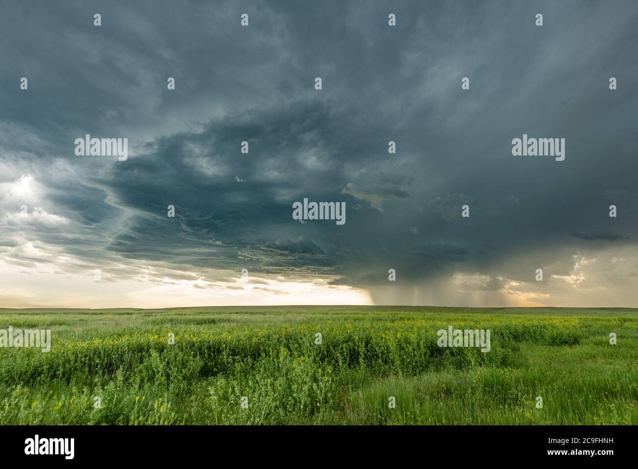 Panorama of a massive mesocyclone weather supercell, which is a pre ...